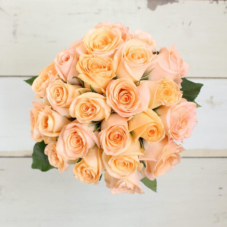 Shop - Roses | Jardin Caribe Flowershop Aruba