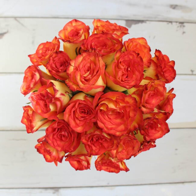 Shop - Roses | Jardin Caribe Flowershop Aruba